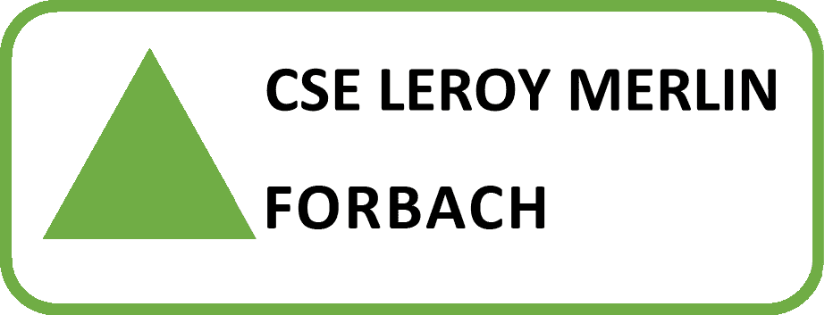 CSE LEROY MERLIN FORBACH - AOPIA Formation