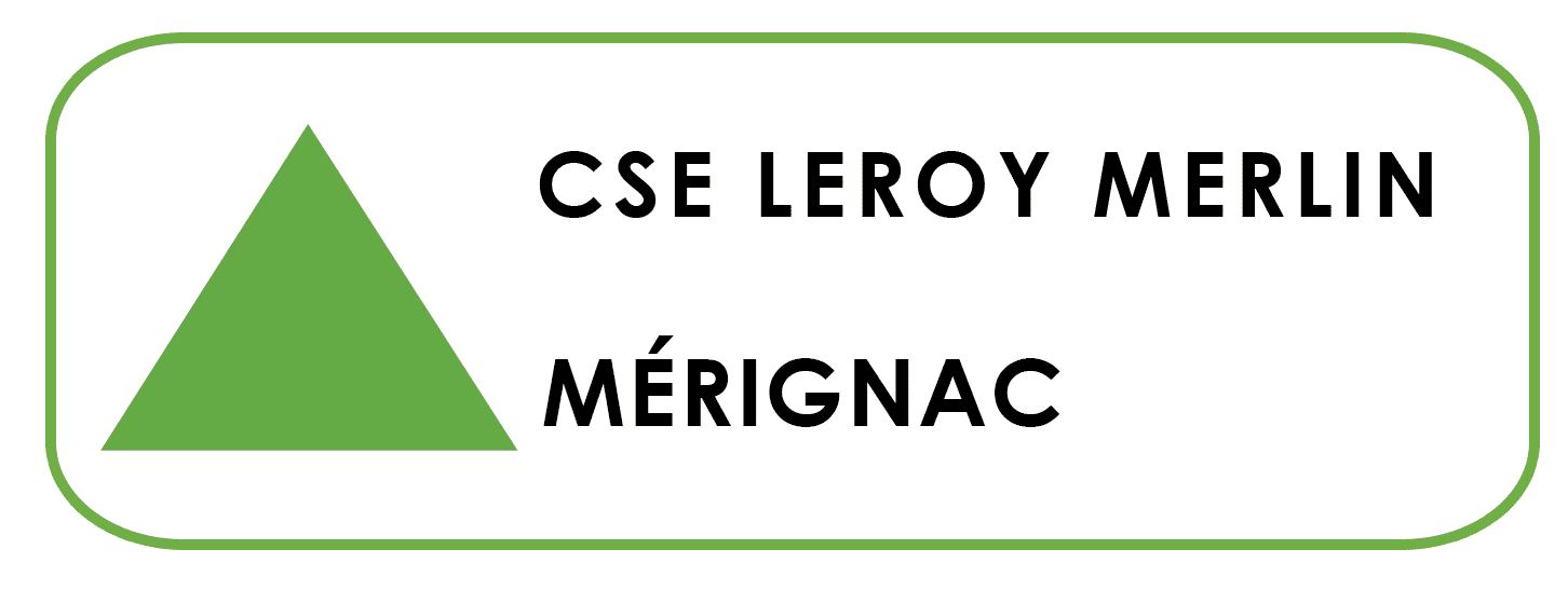 CSE LEROY MERLIN MÉRIGNAC - AOPIA Formation
